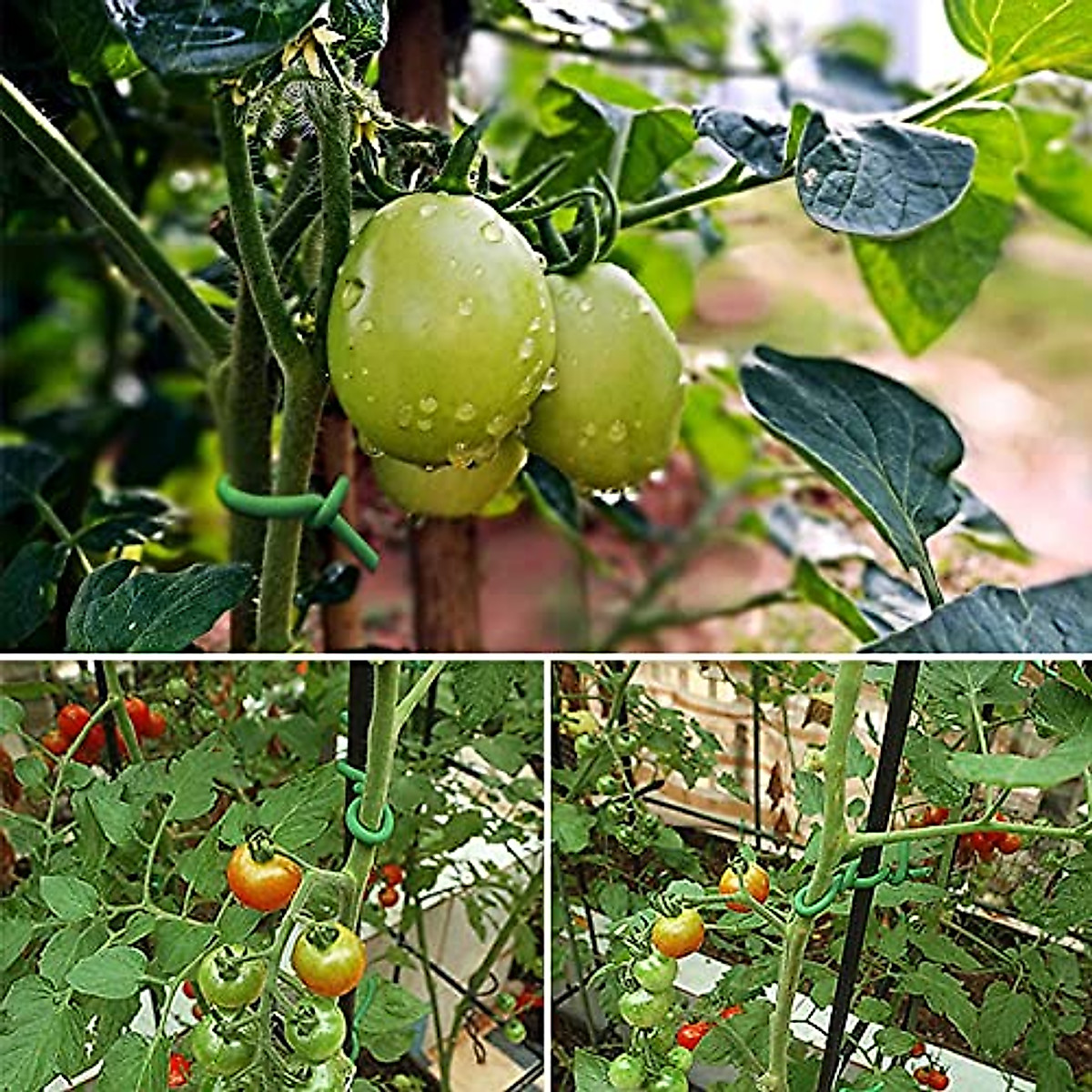 Shintop Reusable 5mm Garden Plant Twist Tie, 2PCS Heavy Duty Soft Wire Tie for Tomato Plants, Climbing Roses and Vines Organizing (Green, 32.8 Feet)