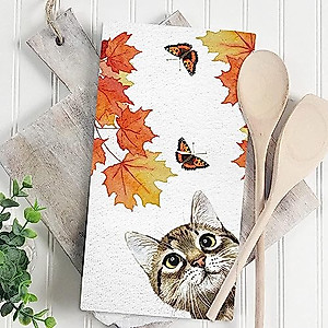 GAGEC Fall Kitchen Towels Maple Leaf Cat Fall Dish Towels Set of 4, Hello Pumpkin Holiday Tea Towel 18 x 26 Inch Hand Drying Cloth Towel for Kitchen Home Decoration