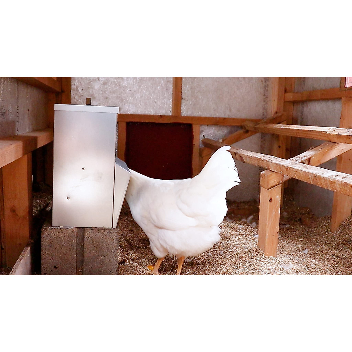 RENTACOOP Galvanized Chicken Trough Feeder, Weatherproof Poultry Food Dispenser with Lid,10LB Capacity