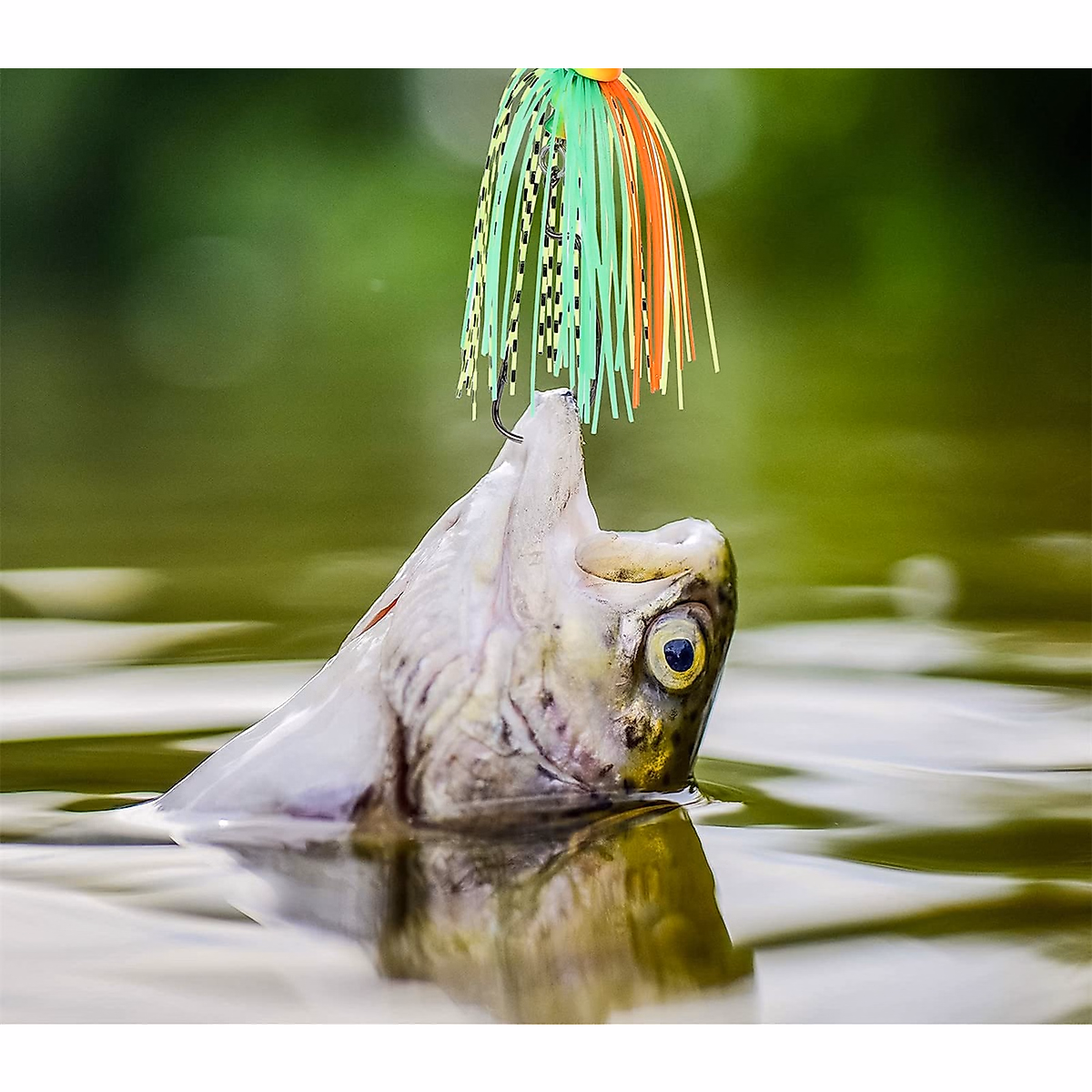 6Pcs-Weedless-Swimming-Jigs-Fishing-Lure,Saltwater Chatter Fish Baits for Bass Fishing Lures Jig Heads with Weed Guard Freshwater Crappie Artificial Bait Hooks Mix Color Skirts Kits for Pike Trout