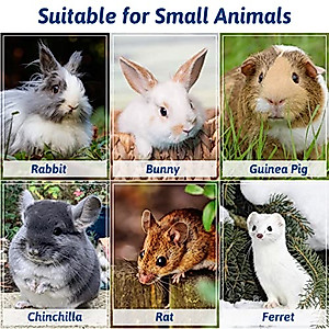 BNOSDM Rabbit Water Dispenser for Cage & Crate Bunny Food Bowl Feeder Detachable Stainless Steel Plastic Hanging Automatic Water Bottle No Drip for Ferrets Chinchiallas Guinea Pigs Small Animals