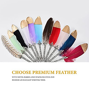 Feather Pen and Ink Set, Glittering Quill Pen Set Antique Calligraphy Dip Pen with Ink, 2 Replacement Nibs, Pen Stand Base, Luxury Vintage Signature Pen