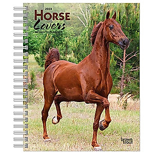 Horse Lovers | 2023 6 x 7.75 Inch Spiral-Bound Wire-O Weekly Engagement Planner Calendar | New Full-Color Image Every Week | BrownTrout | Animals Equestrian