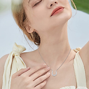 MEDWISE Lucky Horseshoe Necklace Gifts for Cowgirls Women Sterling Silver Horseshoe Daisy Necklace for Horse Lover Jewelry Birthday Christmas