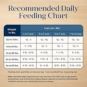 Blue Buffalo Basics Puppy Dry Dog Food for Skin & Stomach Care, Limited Ingredient Diet, Made in the USA with Natural Ingredients, Turkey & Potato Recipe, 4-lb. Bag
