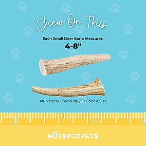 hotspot pets Small Premium Deer Antler for Dogs (3 Pack) - 4-8 Inch Long Lasting Antler Dog Chews Naturally Shed Deer Antlers Bone for Small & Medium Breed Aggressive Chewers - Sourced in USA