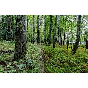 72mm CPL Circular Polarizer Filter for Canon EF-S 18-200mm f/3.5-5.6 is Lens