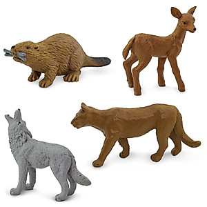 Safari Ltd. Nature TOOB - 12 Mini Figurines with Rabbit, Beaver, Doe, Gray Wolf, Fox, Black Bear, Moose, Mountain Lion, Bald Eagle, and More - Educational Toy for Boys, Girls & Kids Ages 3+