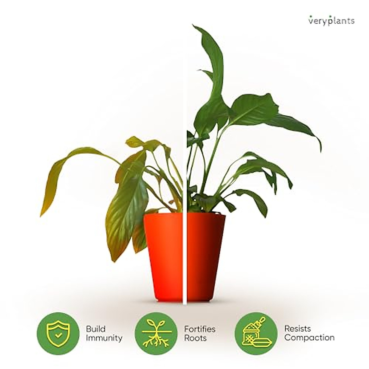 Molly's Aroid Mix - Premium Soilless Chunky Potting Mix for Tropical and Indoor Plants - Contains Orchiata Bark, Coco Chips, Worm Castings, Horticultural Charcoal, Mycorrhizae 10 Dry Quarts (11L)