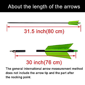 AMEYXGS 12 Pcs Archery Hunting Arrows Mix Carbon 30 Inch Flu Flu Arrows spine 500 Target Practice Arrows with 4 Turkey Feather Replaceable Arrowhead for Outdoor Hunting Shooting(Green)