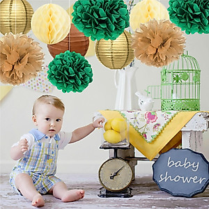 HappyField Woodland Animals Birthday Party Decorations Woodland Animals Baby Shower Decorations for Boy or Girl Rustic Gold Green Tan Brown Tissue Poms Paper Lanterns Gender Neutral Baby Shower Decor