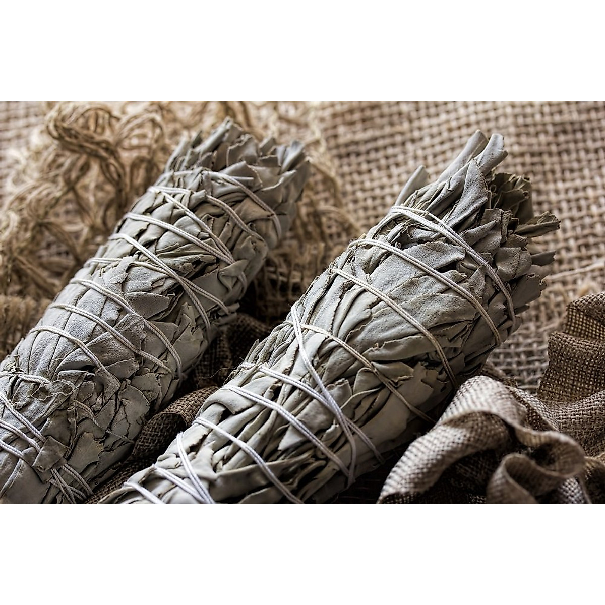 Incense Garden White Sage Smudge Sticks Bundle - 3 Pack - 4 inches - Hand Cultivated California White Sage