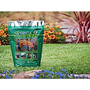 BioProducts' grubGONE! Natural Organic Grub Control Granule with BTG