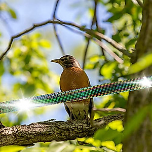 4 Roll Bird Tape Thick Tape Bird Tape Outdoor Double Side Bird Scare Ribbon Bird Device, Scare Birds Away, Pigeon, Woodpecker, Geese, 2 Inch, 1440 ft Total