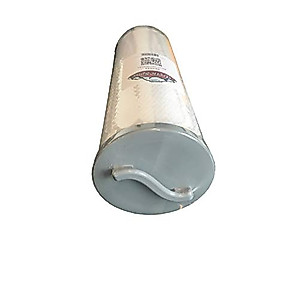 Arctic Spa Silver Sentinel Threaded Filter - 2009-current Models