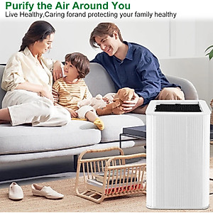 121 Replacement Filter Compatible with Blueair Blue Pure 121, H13 True HEPA Filter Particle and Activated Carbon Replacement Filter(1Pack)