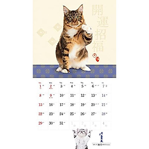 カレンダー2023 開運まねき猫 (月めくり/壁掛け) (ヤマケイカレンダー2023)