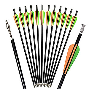 SHENG-RUI ARCHERY Crossbow Bolts Fiberglass Arrows with Flat Nock Replaced Arrowheads for Outdoor Hunting 14 inch (Pack of 12)