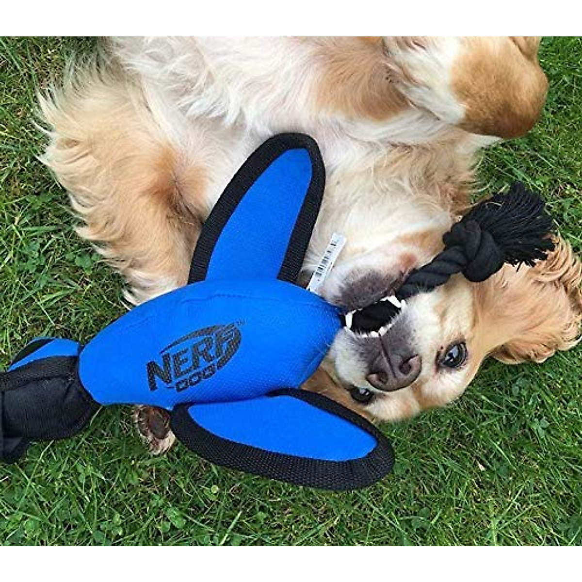 Nerf Dog Large Nylon Launching Duck with Interactive Design, Blue (3473), for All Breed Sizes