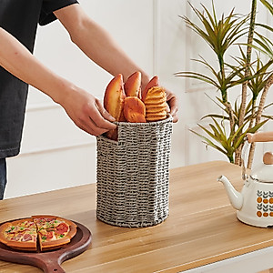 LGENHOOM Small Trash Basket with Built in Handles Rectangular Wicker Waste Basket 2.5 Gallon Boho Woven Trash Can for Bedroom/Living Room/Kitchen/Coffee Table (1 Pack,Seagrass)