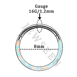 Jewseen G23 Solid Titanium Hinged Segment Hoop Rings White Opal Daith Earring Hoop 16G Tragus Helix Rings Cartilage Piercing Septum Clicker Body Jewelry
