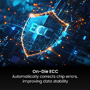 MMOMENT MS25 512GB M.2 2280 SATA III 6Gb/s Internal Solid State Drive SSD (up to 500MB/s)