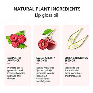 Plumping Lip Oil Raspberry, Lip Oil Gloss Tinted Hydrating Lip Care, Transparent Toot Lip Oil, Lip Balm Moisturizing Lip Care, Long Lasting Lip Glow Oil, Non-sticky Big Brush Head Glitter Shine Primer Lip Tint (Raspberry)