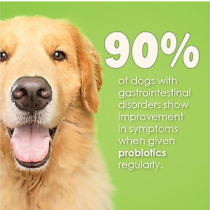 Proflora Probiotics for Dogs-Complete Gut Health & Immune Support. Easy to Use Digestive Multi-Strain Probiotics. Easier Diet Transitions, Healthier Skin & Coat & Helps Treat Diarrhea. 30 Packets.