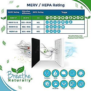 Breathe Naturally Replacement Filters for TrueAir Air Purifier 04383, 04383, 04385 (2 Pack) Compare to OEM Part # 990051000 by Hamilton Beach