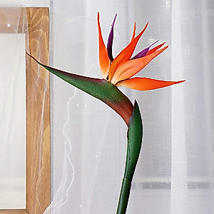 Calcifer 32'' Real Touch Bird of Paradise Artificial Flowers Bouquet for Home Garden Decoration/Wedding Party Decor (Goldenrod,5 Stems)