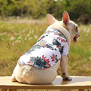 Pet Summer T Shirts Hawaii Style Floral Dog Shirt Hawaiian Printed Pet T Shirts Breathable Cool Clothes Beach Seaside Puppy Shirt Sweatshirt for Small Puppy Dog Fleece Pink (White, XL)