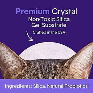 Boxie® Pro™ 40 Day Probiotic Odor Control Non-Clumping Crystal Cat Litter, 6 lb, Self-Cleaning, MicroDry™ Crystals, 99.9% Dust-Free, Long-Lasting, Health Benefits for Multi-Cat Homes
