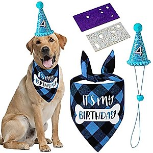 AIITLE Dog Birthday Bandana, Plaid Scarf and Reusable Dog Boy Birthday Party Hat with Number, Small Medium Dog Cat Pet Birthday Party Supplies Blue