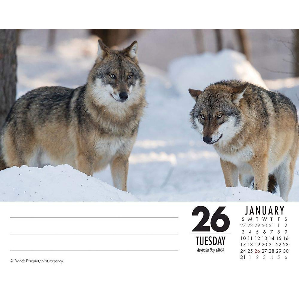 Spirit of the Wolf 2021 Box Calendar