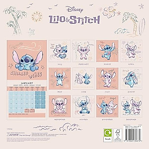 Lilo and Stitch Calendar 2024 - Month to a View Planner 30cm x 30cm - Official Merchandise