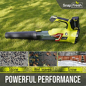 SnapFresh Cordless Leaf Blower - 550CFM Electric Leaf Blower Cordless with 4.0 Ah Battery and Fast Charger - 20V Lightweight Leaf Blower for Yard and Garden, Battery Operated Blower for Lawn Care