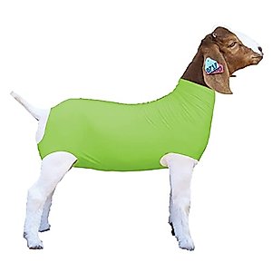 GuHuiKuShow Pro Neon Green Spandex Goat Tube for Show Goats - Show Livestock Supplies: Goat Covers & Blankets (Medium)