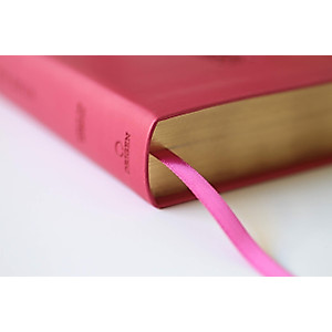 Biblia Católica en español. Símil piel fucsia, tamaño compacto / Catholic Bible. Spanish-Language, Leathersoft, Fucsia, Compact