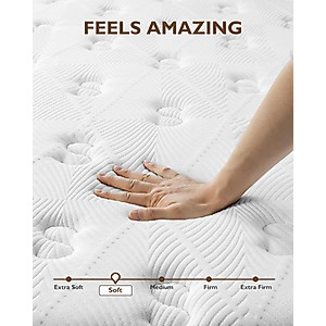 BedStory Queen Mattress - 14 Inch Plush Hybrid Mattress in a Box - Soft Memory Foam and Individual Pocket Springs for Pressure Relief and Motion Isolation, CertiPUR-US