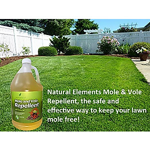 Natural Elements Mole and Vole Repellent | 100% Castor Oil | Pet Safe and Non Toxic | Food Grade | 128 oz (1 Gallon)