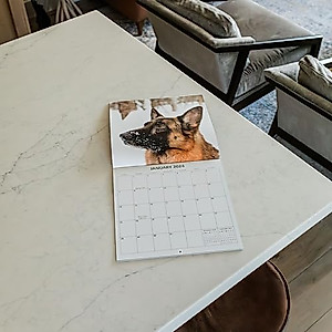 DOGS Monthly Wall Calendar | 12" x 24" | Thick Sturdy Paper | Dog Calendar 2024-2025 (Shepherds)