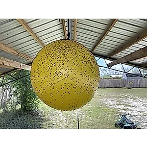 Bug Ball Gnat Ball 4 Pack Starter Complete kit - Gnats, House Fly, No-See-Um, Aphids whiteflies, and Love Bugs Trap