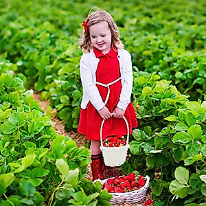 DOITOOL Flowers 6pcs Rattan Woven Flower Basket Gift Basket Picnic Basket Wedding Flower Girl Basket Candy Fruit Sundries Storage Basket for Wedding Picnic Party Baskets