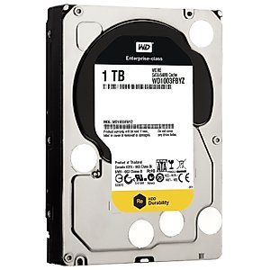 WD 1 TB WD RE SATA III 7200 RPM 64 MB Cache Bulk/OEM Enterprise Hard Drive WD1003FBYZ (Renewed)