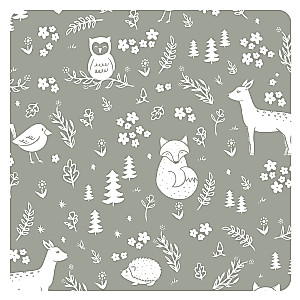 BapronBaby Forest Friends Bapron - No Neck Tie Safer Bib for Baby & Toddler - Soft Waterproof Stain Resistant - Machine Washable - Sz Preschool 3-5yrs