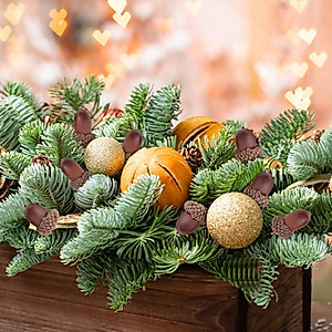 menolana 30 Pieces Acorns, Natural Dry Acorns,