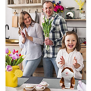 Tockrop 2 Pack Talking Hamster Mouse Plush Interactive Toy Repeat What You Say Mimicry Pet Talking Record for Early Learning