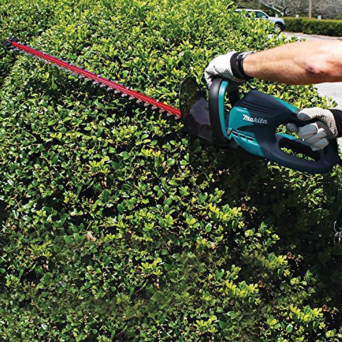 Makita UH6570 Hedge Trimmer, 120V Electric, 25 in. L