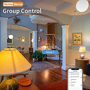 Homevenus HVS Smart Light Bulbs,9W A19 E26 Dimmable Tunable Cool Warm White LED Light Bulb 2500k-6500k, APP Control 2.4GHz WiFi Bluetooth Assist Connection, Work with Alexa/Google Assistant 4 Pack