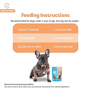 Snuggle Puppy Puppy Bites Grow Strong Supplement - Dog Soft Chews for Overall Health - Omega 3 Supplement for Dog Health - Fish Oil Chews for Dogs - 60 Soft Chews